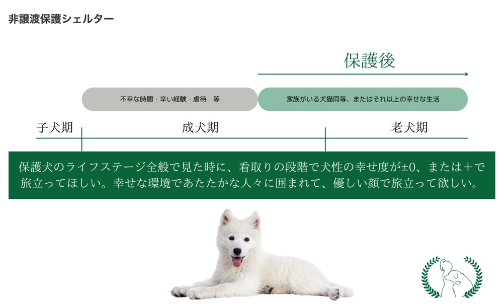 【公式】ドッググッズ LaLUCA(ラルカ)／マタニティグッズrische.(リスチェ)の通販サイト