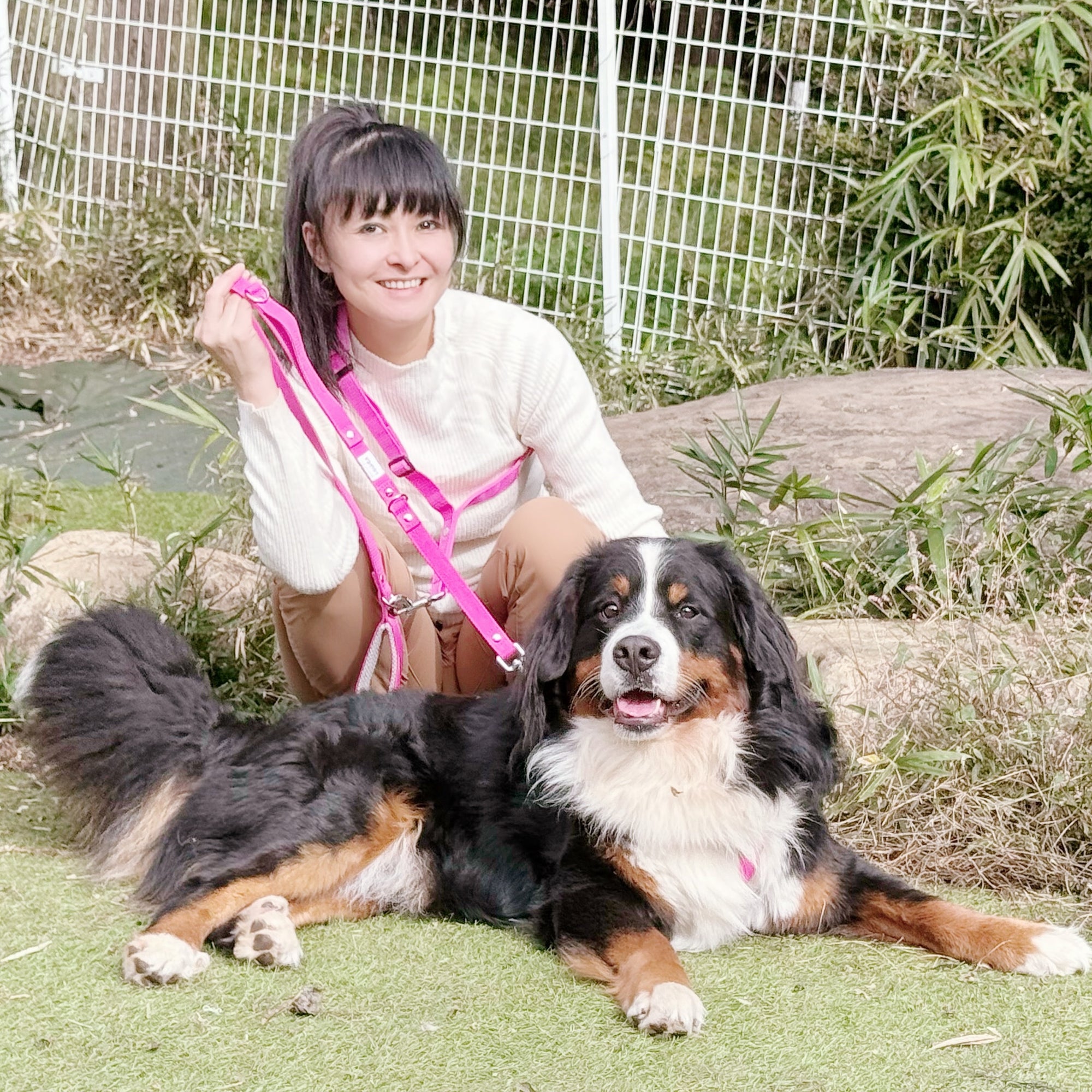 【公式】ドッググッズ LaLUCA(ラルカ)／マタニティグッズrische.(リスチェ)の通販サイト